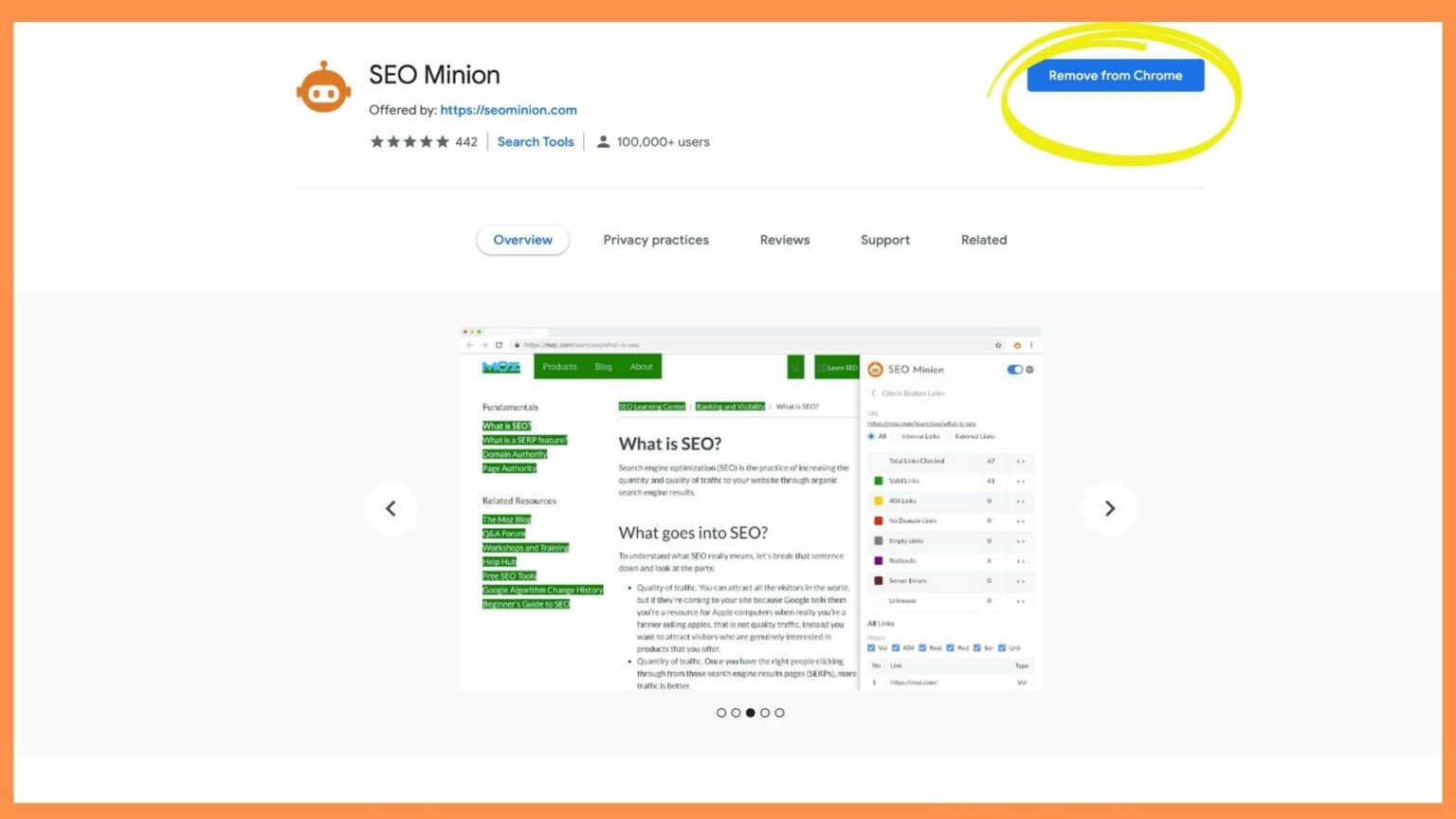 What’s up with SEO Minion?